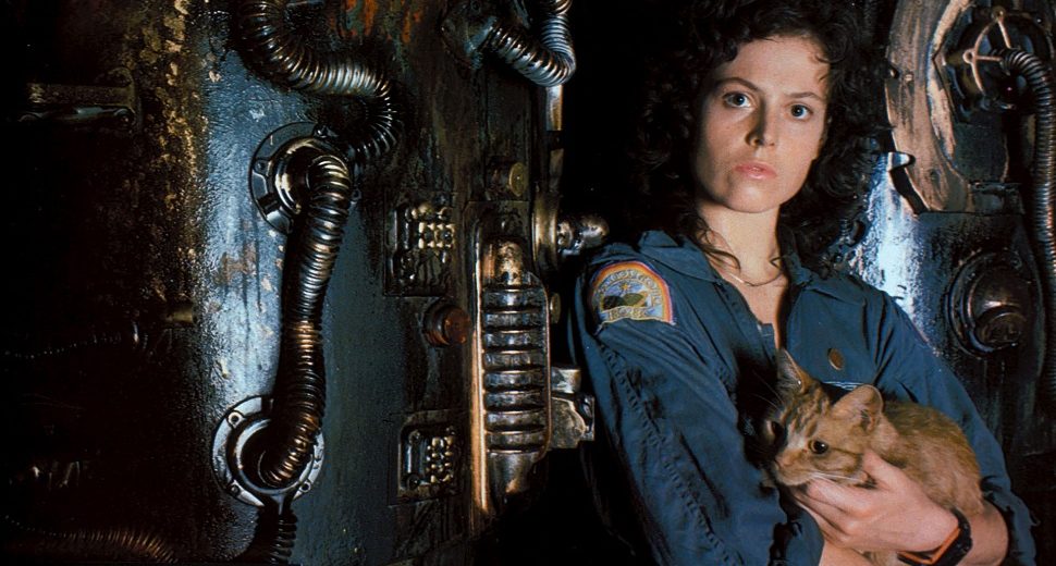 Rory Lucey on Telling ALIEN from Jonesy the Cat's Perspective - Freaksugar
