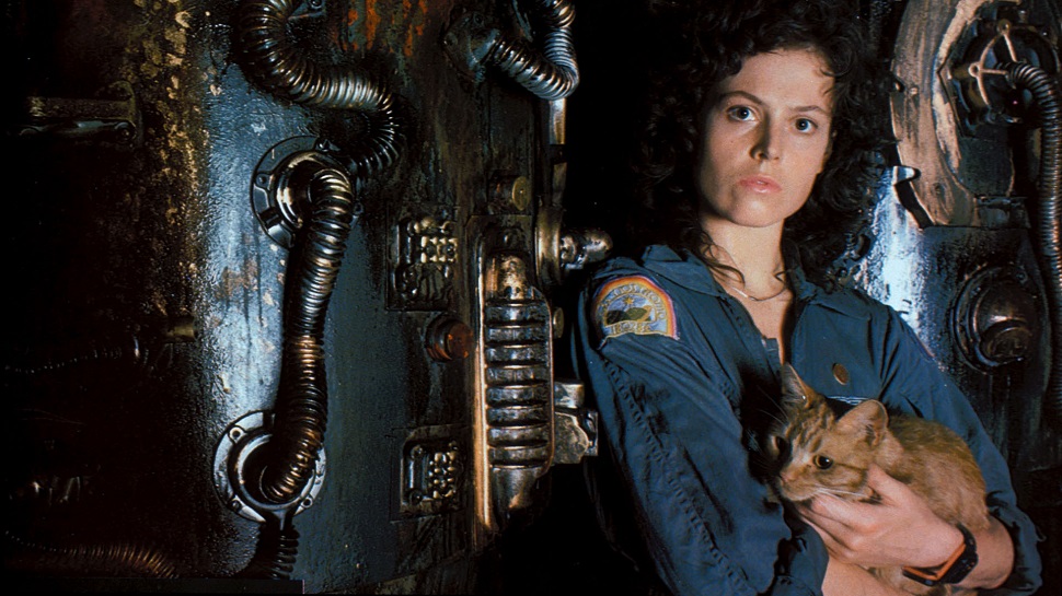 Rory Lucey on Telling ALIEN from Jonesy the Cat's Perspective | Freaksugar